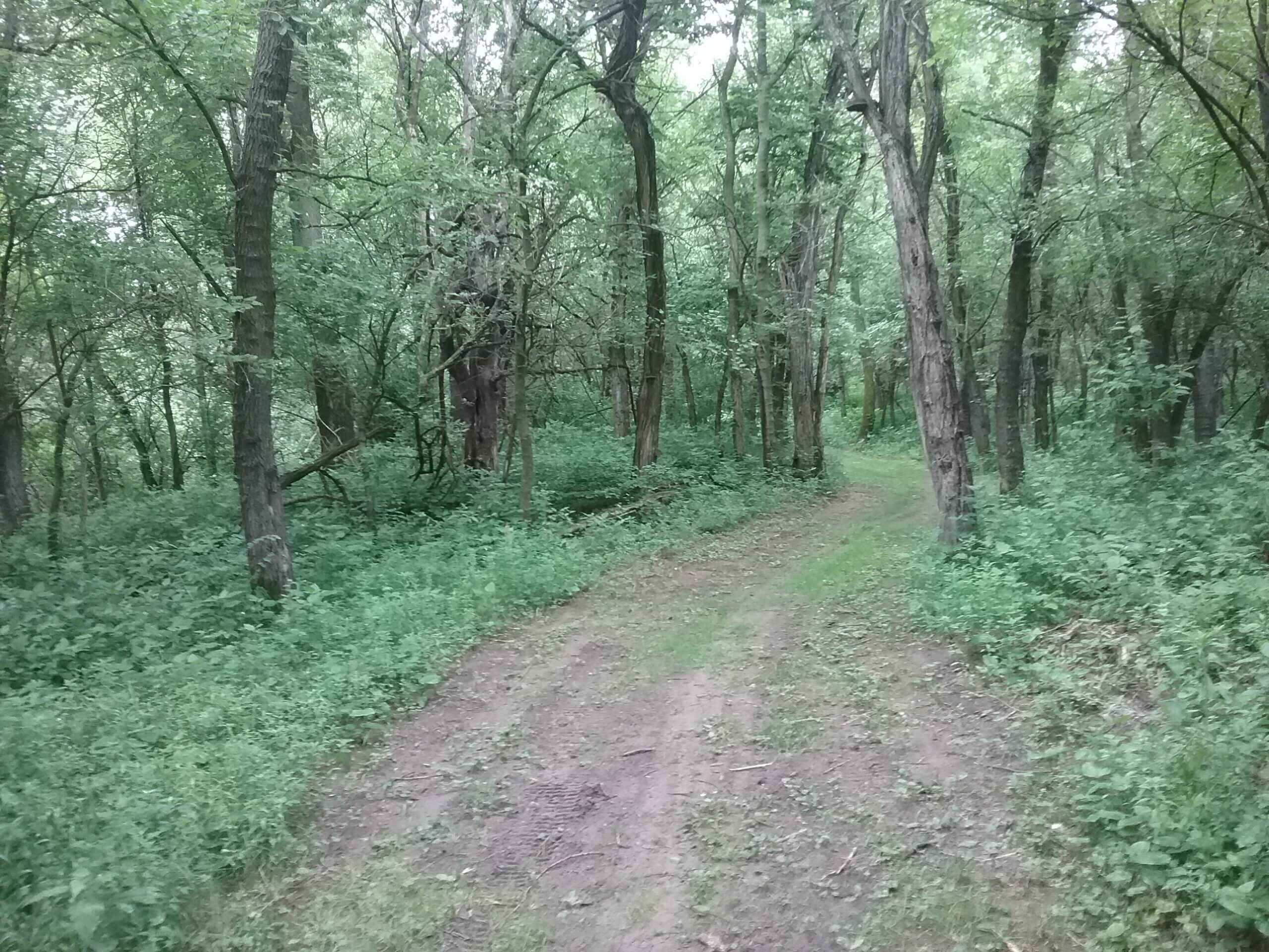 Lewis and Clark Trail – Nebraska Wander Freunde Trailblazers