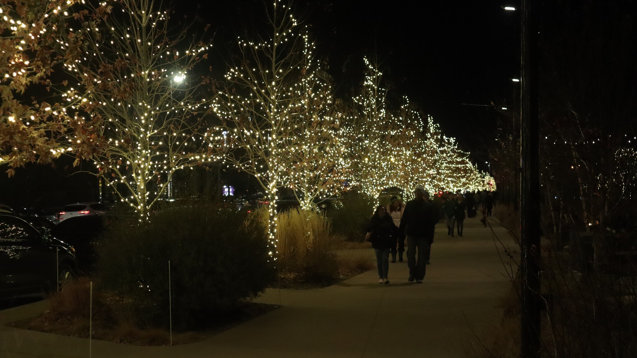 2022 isn’t over yet! – Nebraska Wander Freunde Trailblazers